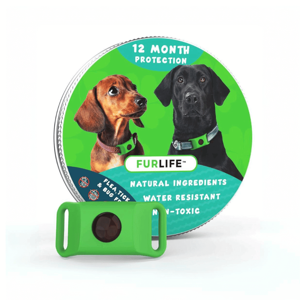 All Natural Flea and Tick Tags for Dogs | 12 Months Protection