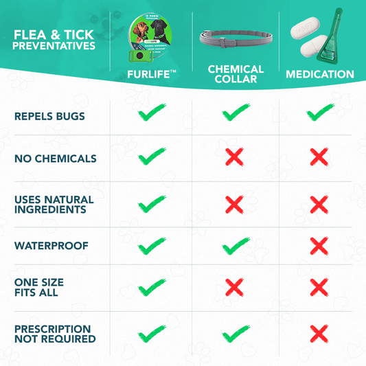 All Natural Flea and Tick Tags for Dogs | 12 Months Protection