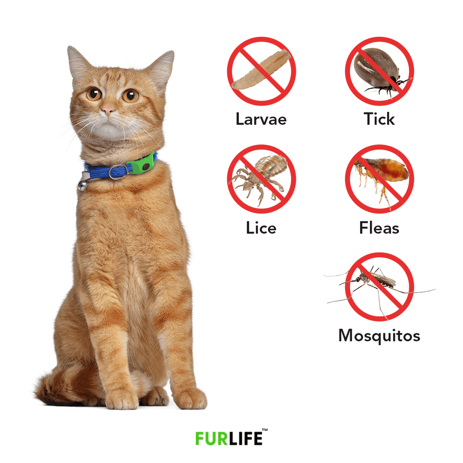 All Natural Flea and Tick Tags for Cats | 12 Months Protection