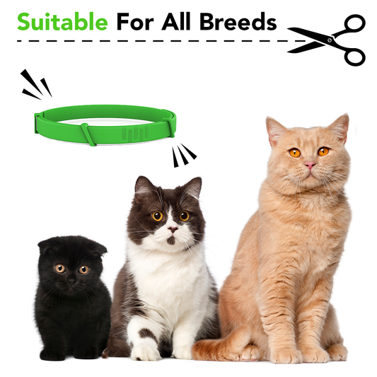 All Natural Flea & Tick Collar for Cats | 8 Months Protection