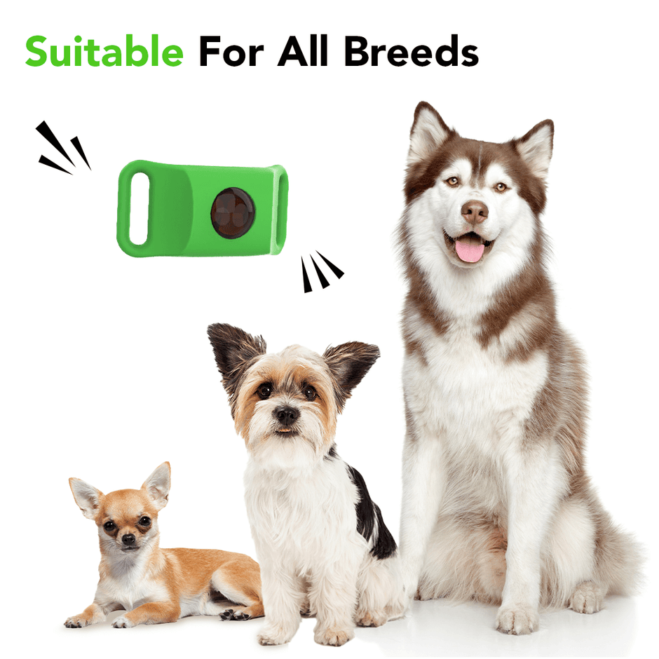 All Natural Flea and Tick Tags for Dogs | 12 Months Protection