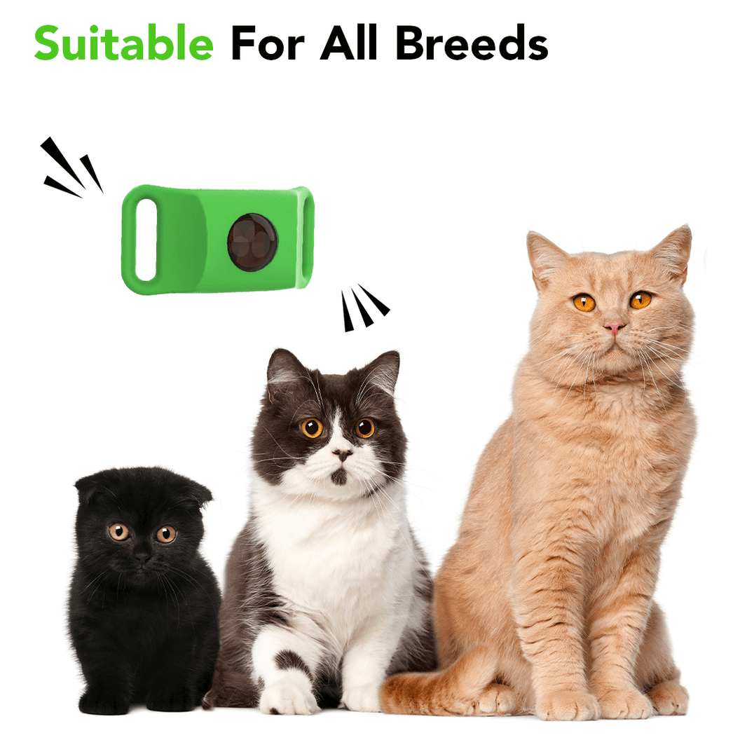 All Natural Flea and Tick Tags for Cats | 12 Months Protection